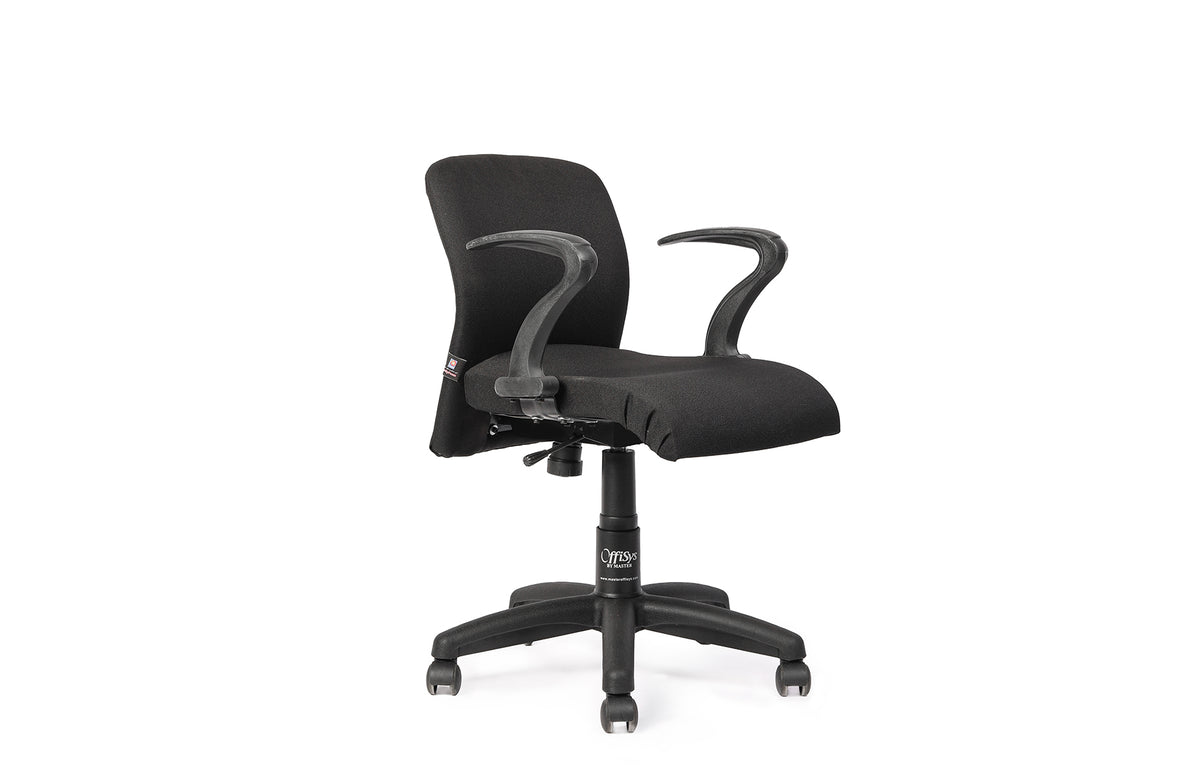 Anatom Low Back Chair in PU Arm Rest – Master Offisys